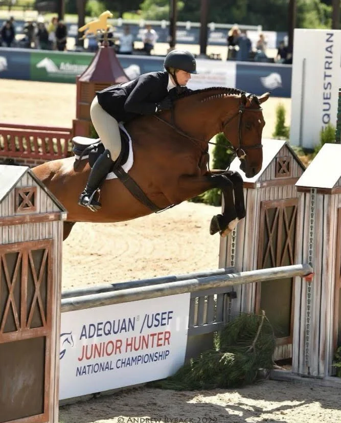 Hunters, Jumpers & Equitation Horses for Sale & Lease — Pennyless Farms