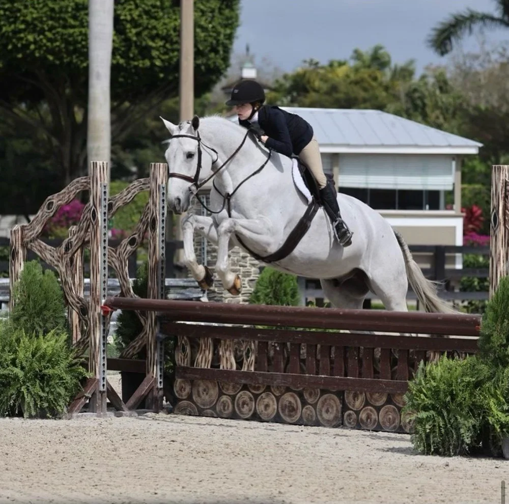 Hunters, Jumpers & Equitation Horses for Sale & Lease — Pennyless Farms