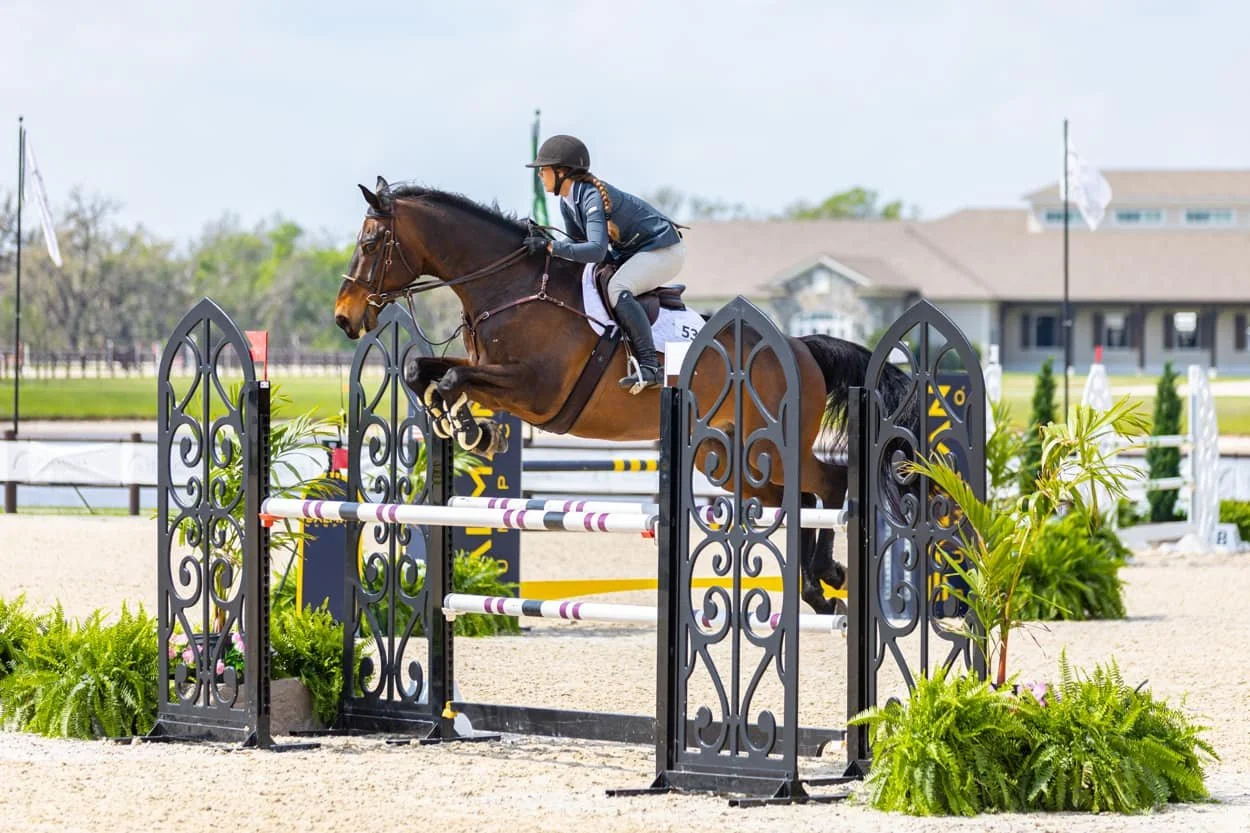 Hunters, Jumpers & Equitation Horses for Sale & Lease — Pennyless Farms