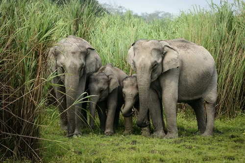 Top Wildlife Safari Destinations For Photographers In 2026