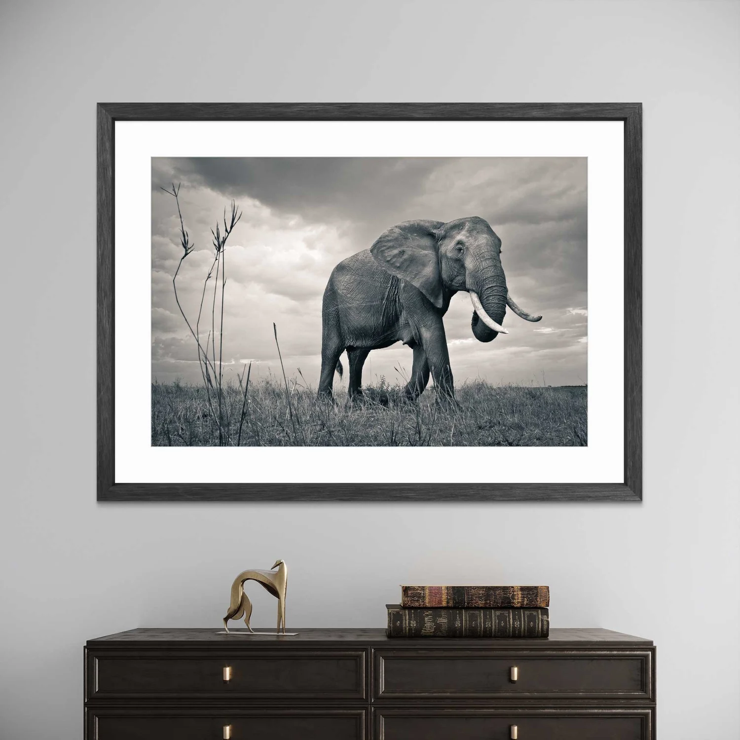Photos of Elephants: A Tribute to Nature’s Gentle Giants