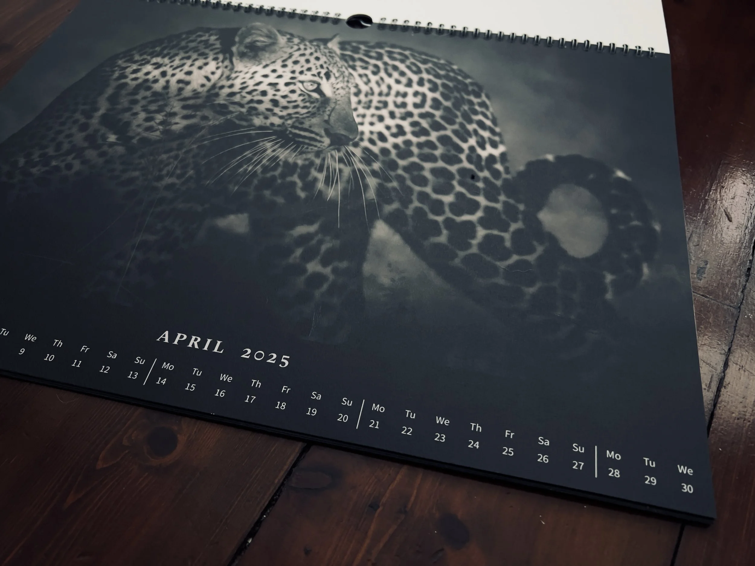 Wildlife Photography Calendars — David Lloyd Wildlife Photography