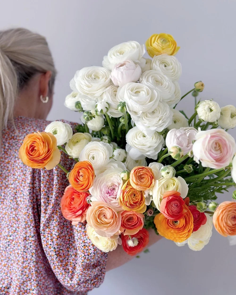 State of Bloom