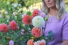 State of Bloom