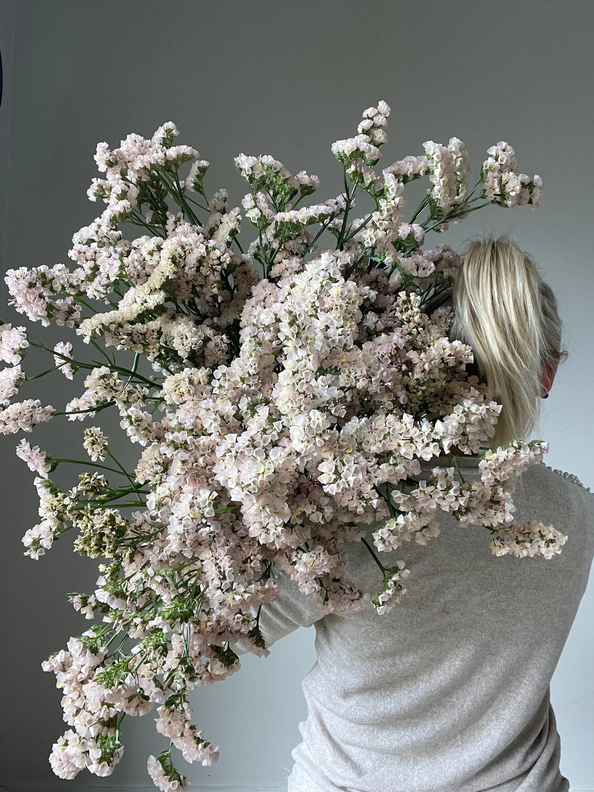 State of Bloom