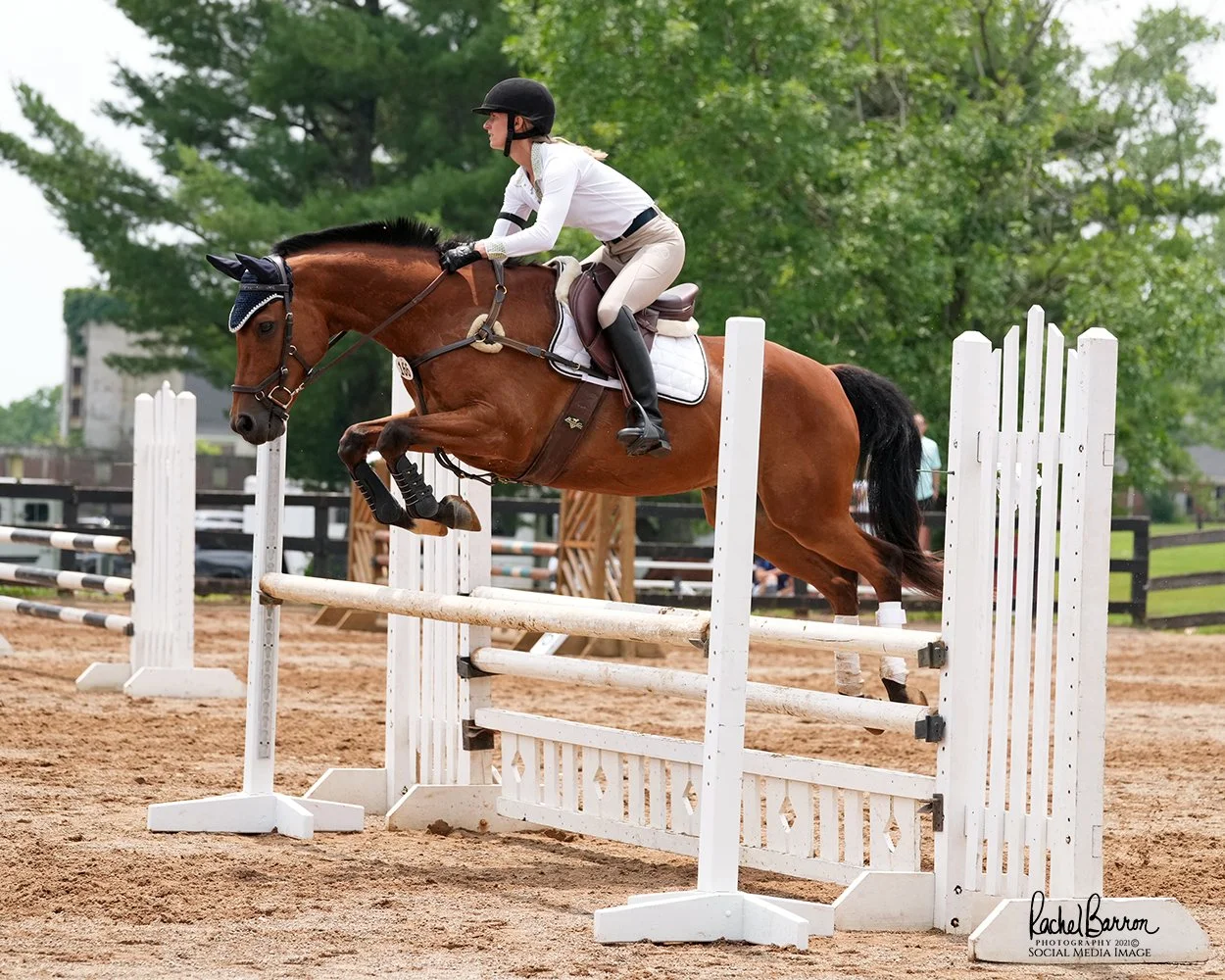 Horse Training Lexington, KY | Metcalfe Equine