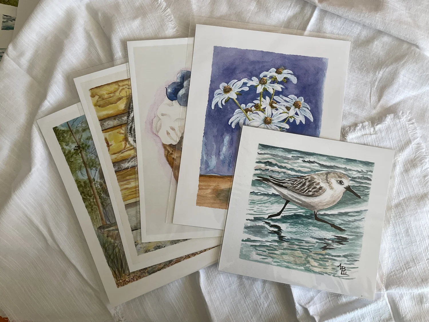 Amy Boardman Art