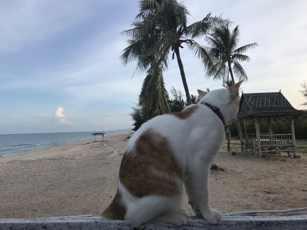 Discover Huay Yang, Thailand, a hidden gem for your bucket list. — Seen ...