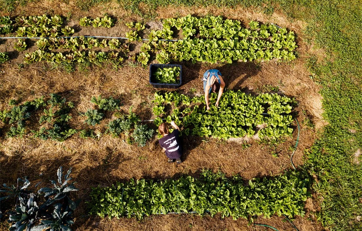 No.9 The Culture of Sustainability