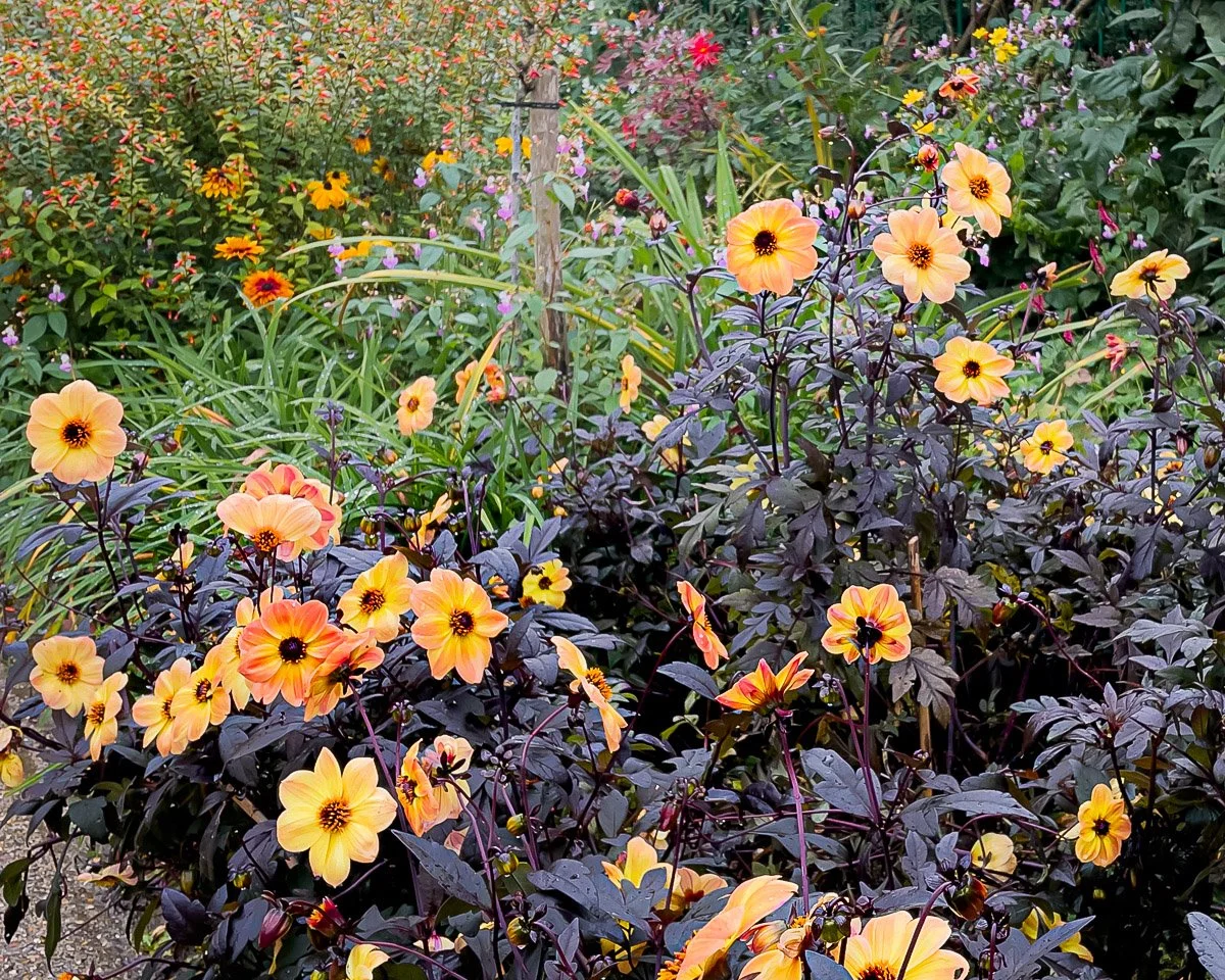 Paris Day Trip to Giverny - A Travel Guide to the Home of Claude Monet ...