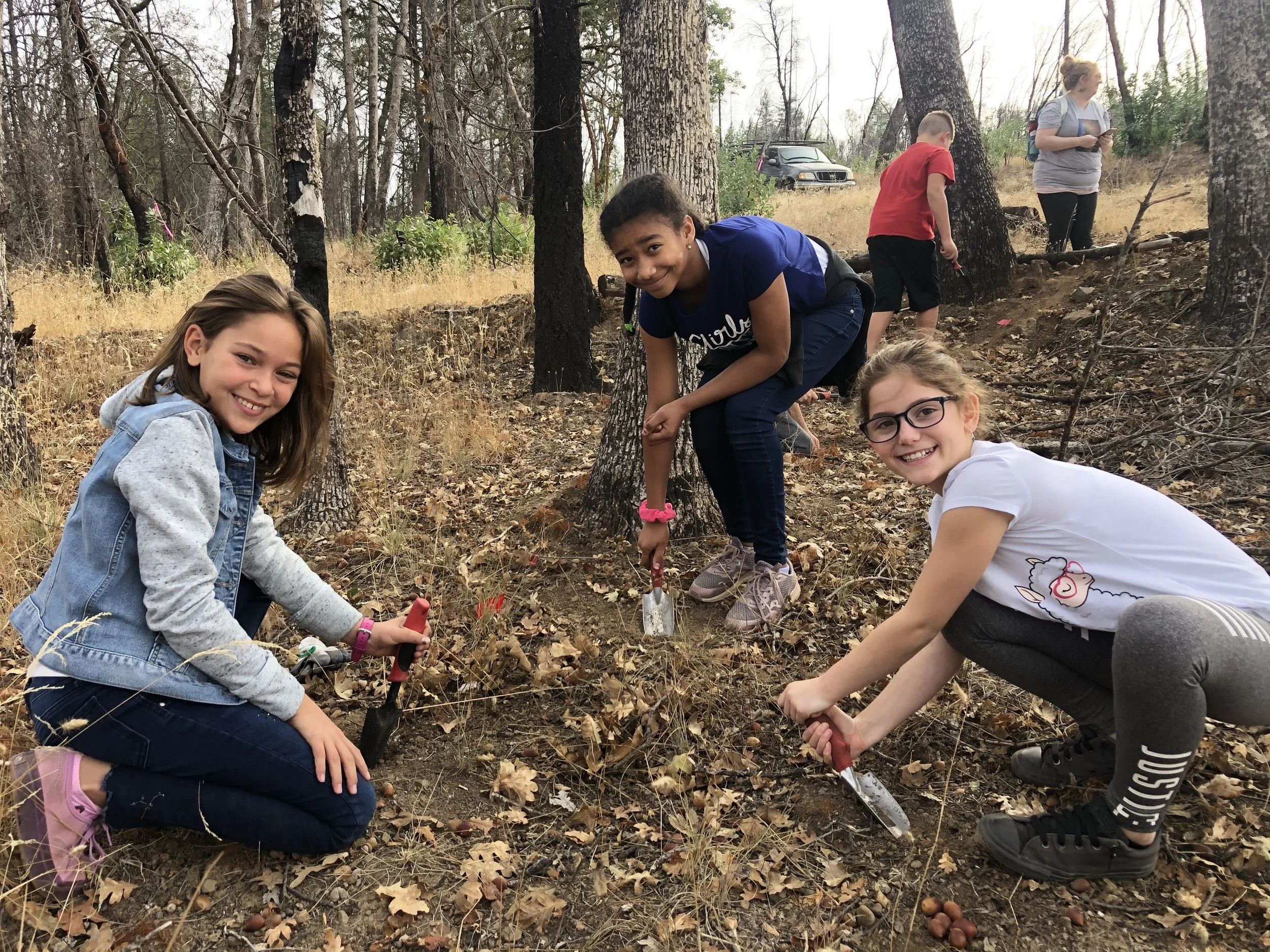 Climate-Fire-Resilency — Conservation Works