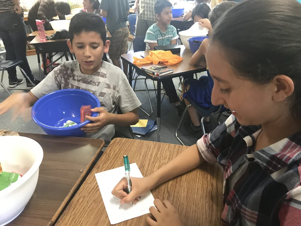 Waste Wizards Resources for Teachers — Conservation Works