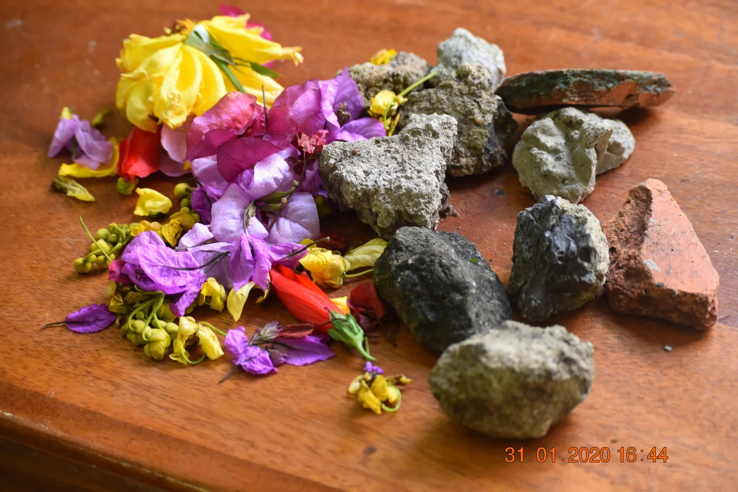 General 2 — Green String Network