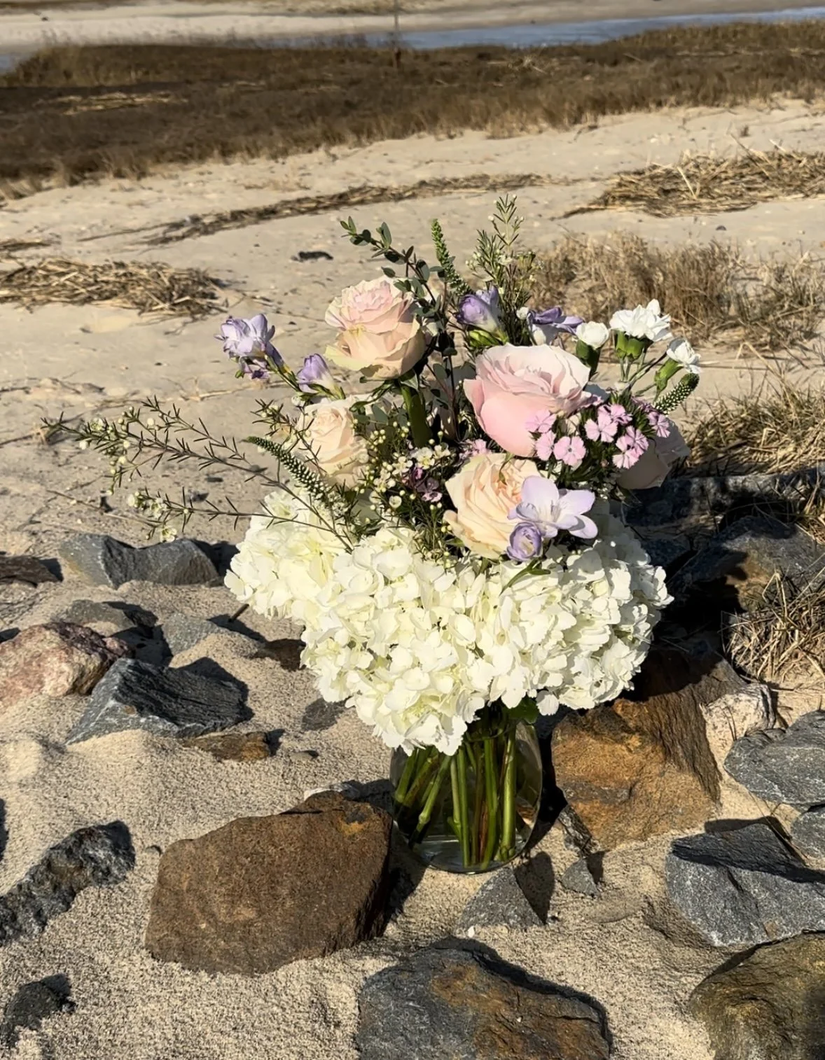 Shop — Cape Cod Flower Farm