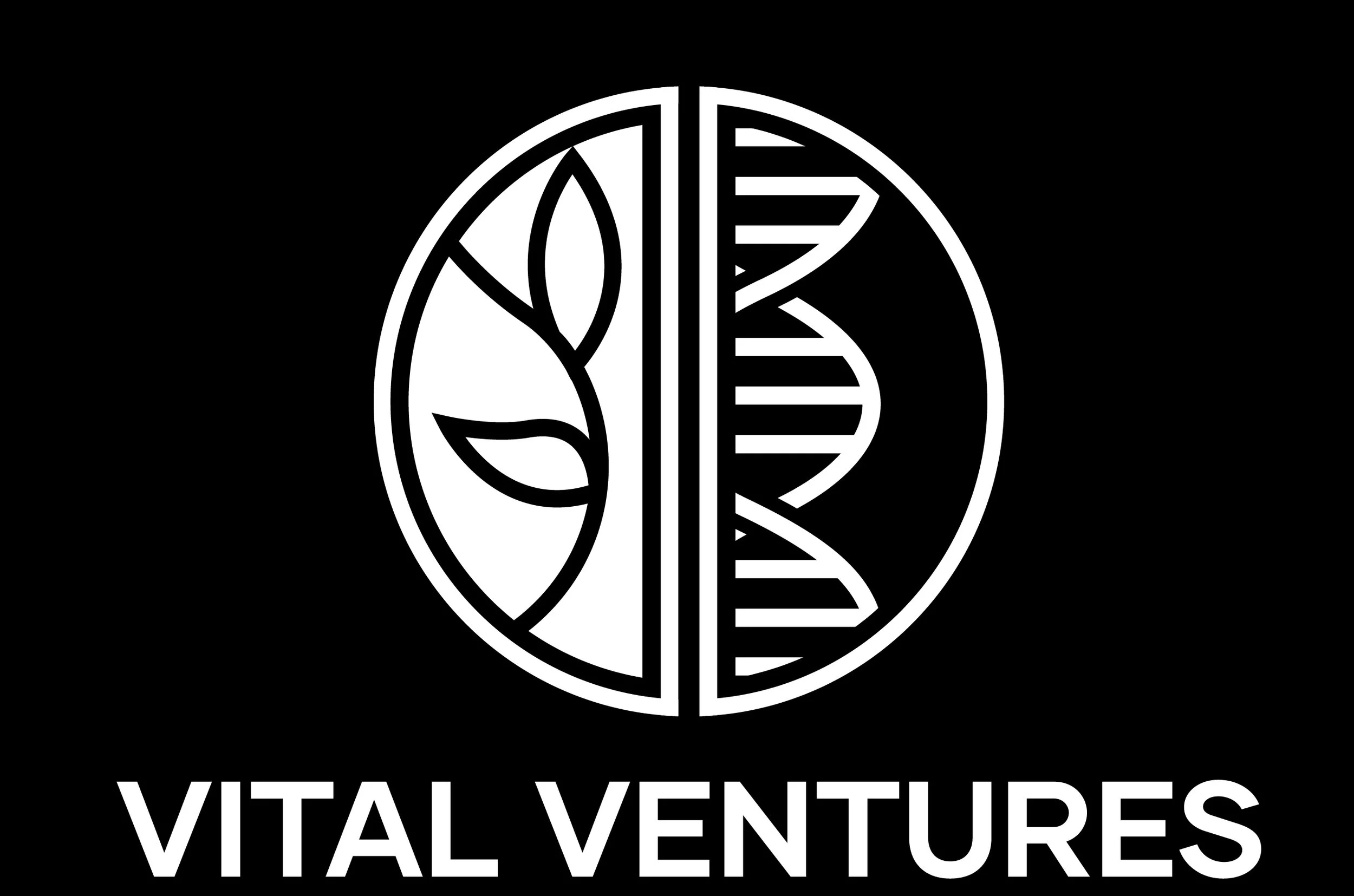 About Us — Vital Ventures