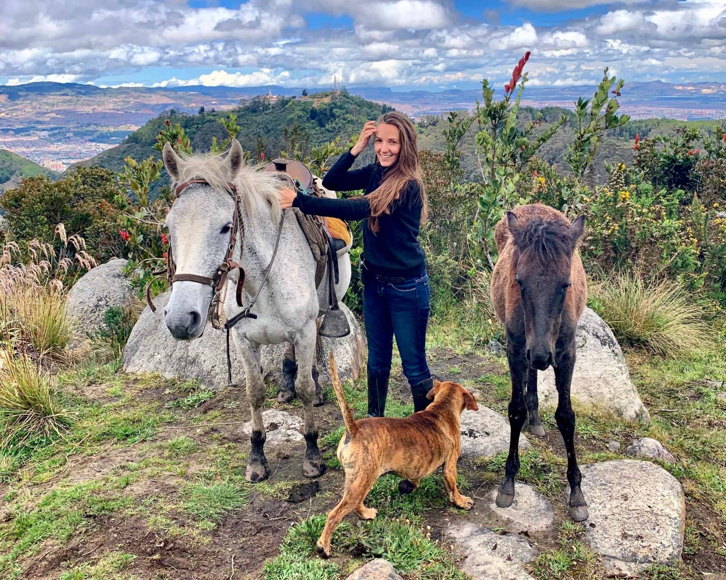 Discover Colombia on Horseback | World on Horseback Blog — World On ...