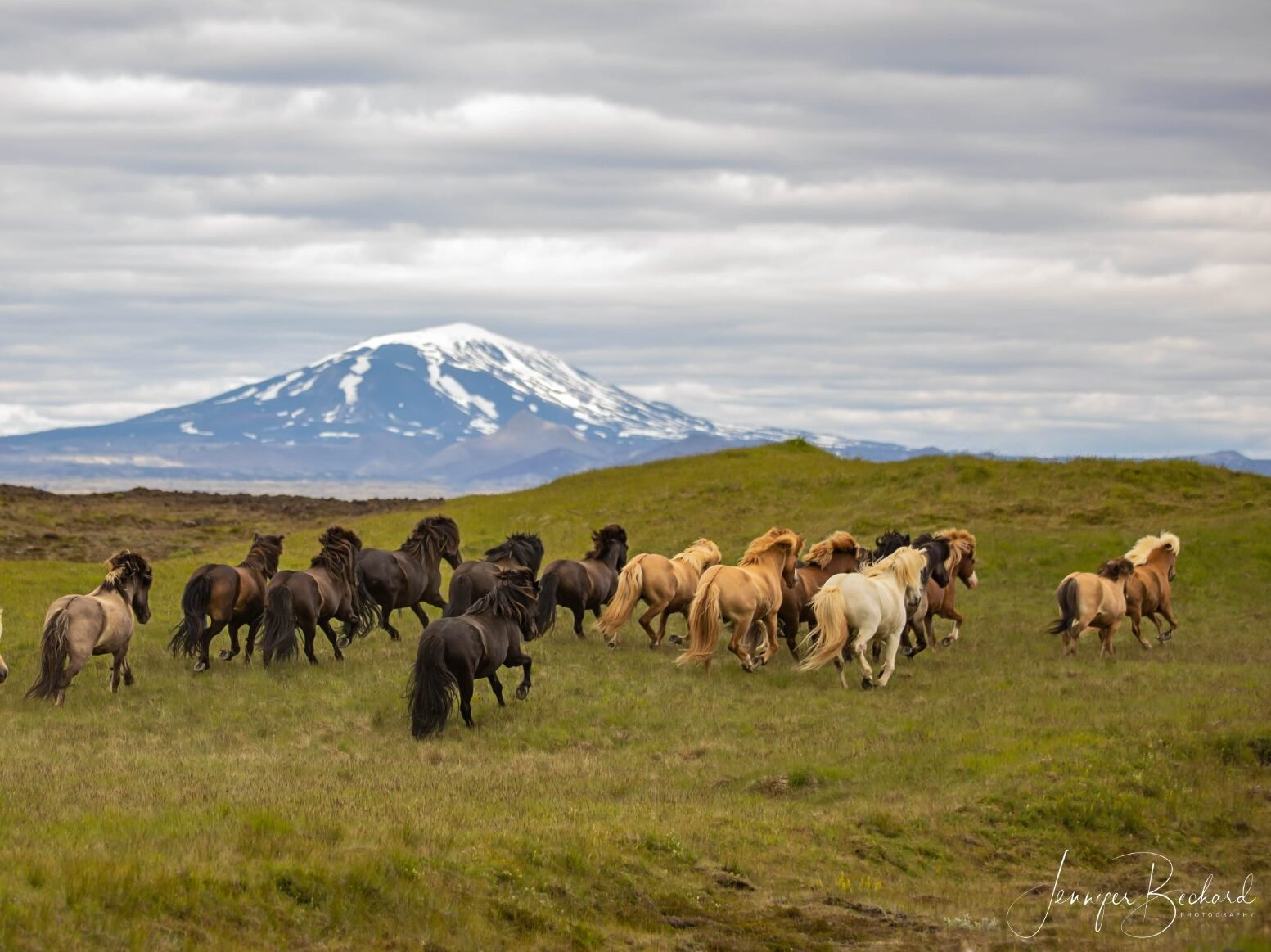Chasing Waterfalls Horse Riding Tour Gallery — World On Horseback