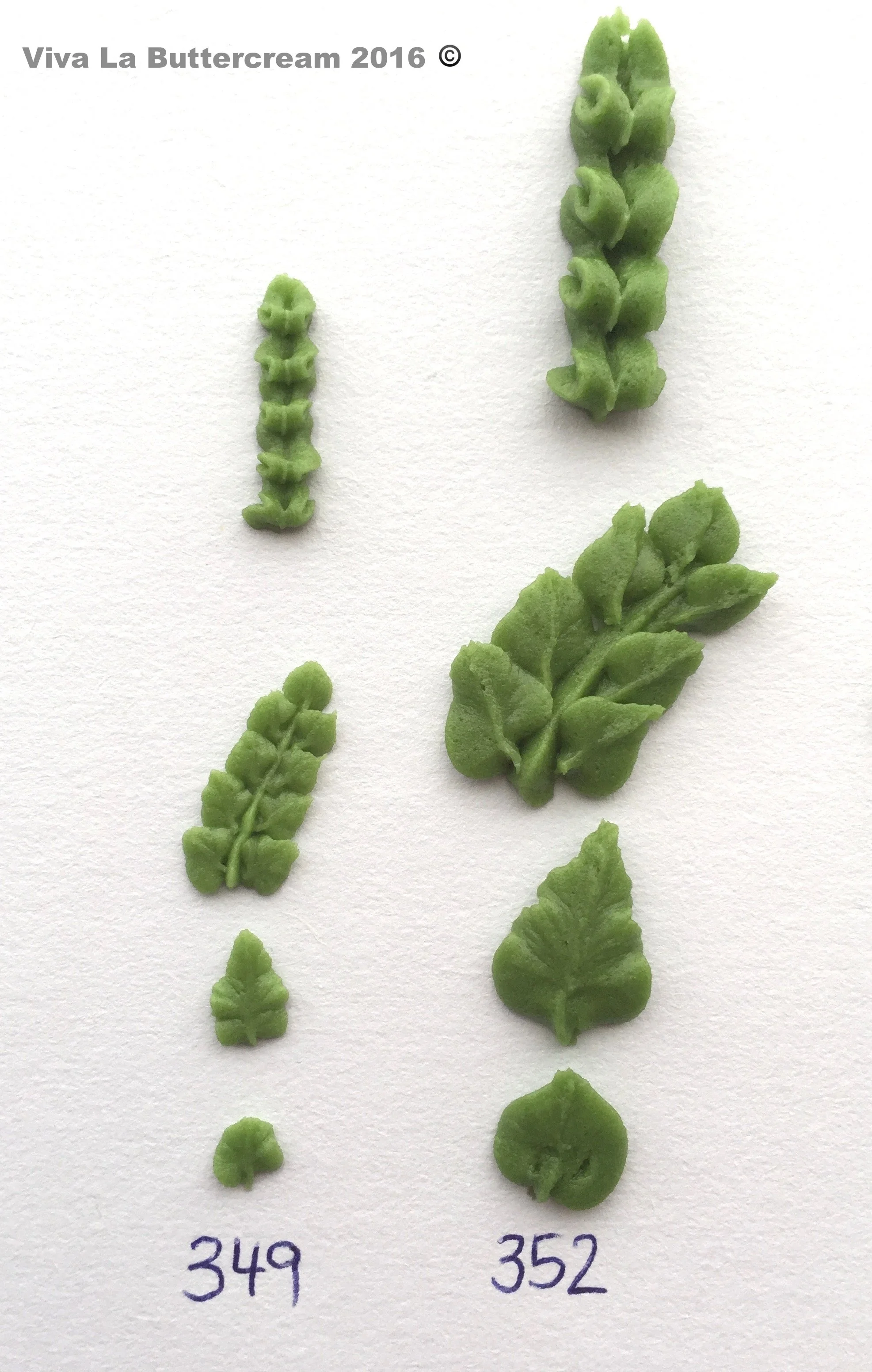 Leaf Tips: A guide to Foliage — The Barely Woven Workshop
