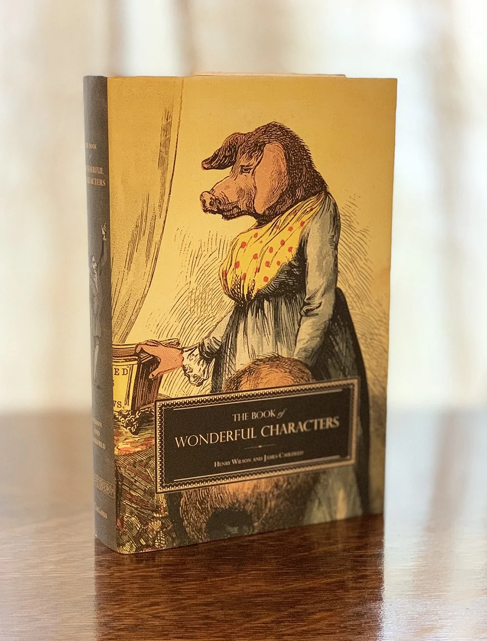 The Book of Wonderful Characters — Curious Publications