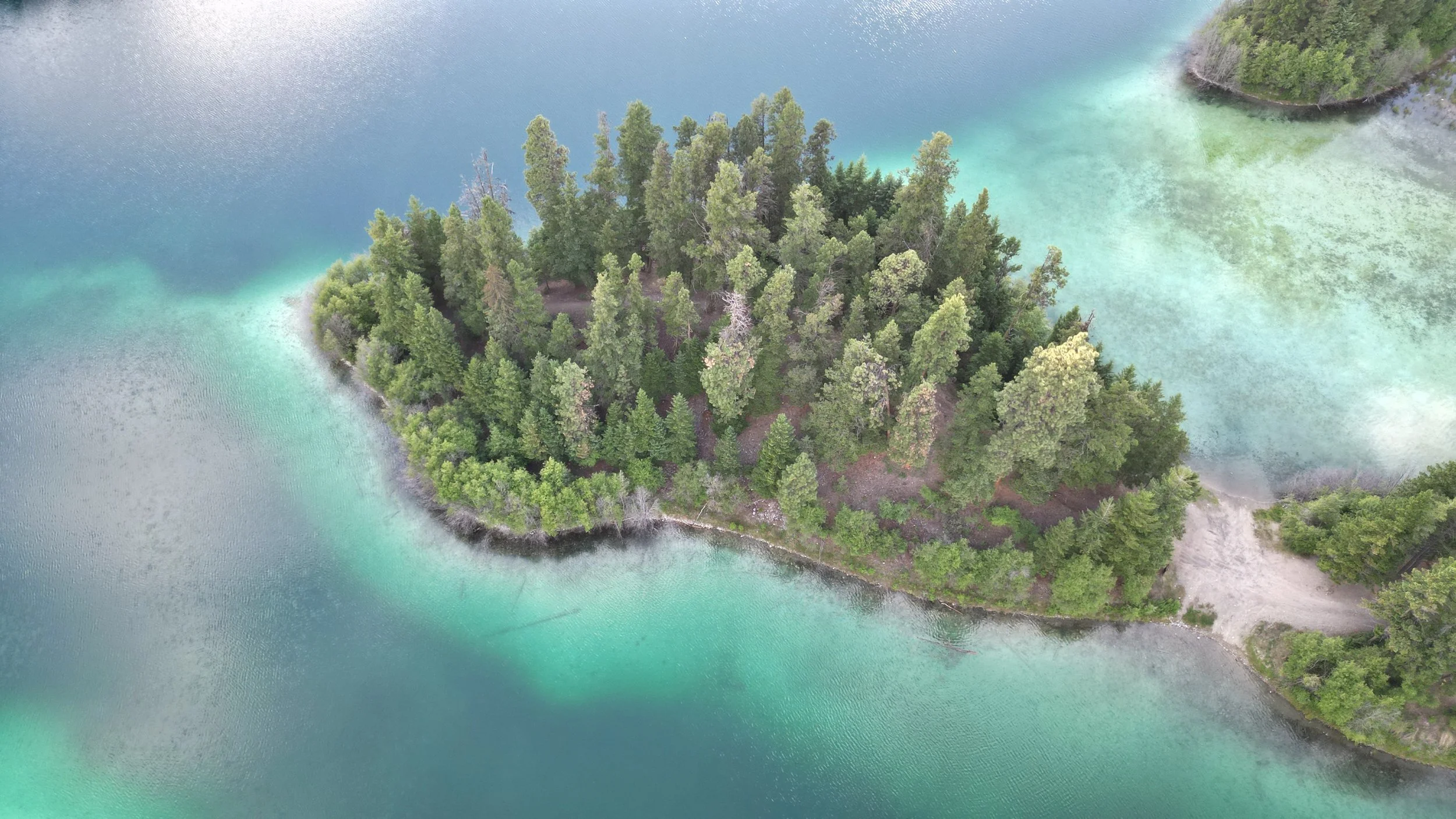 Your Ultimate Guide to Camping at Bluey Lake, BC — Peak Planning and ...