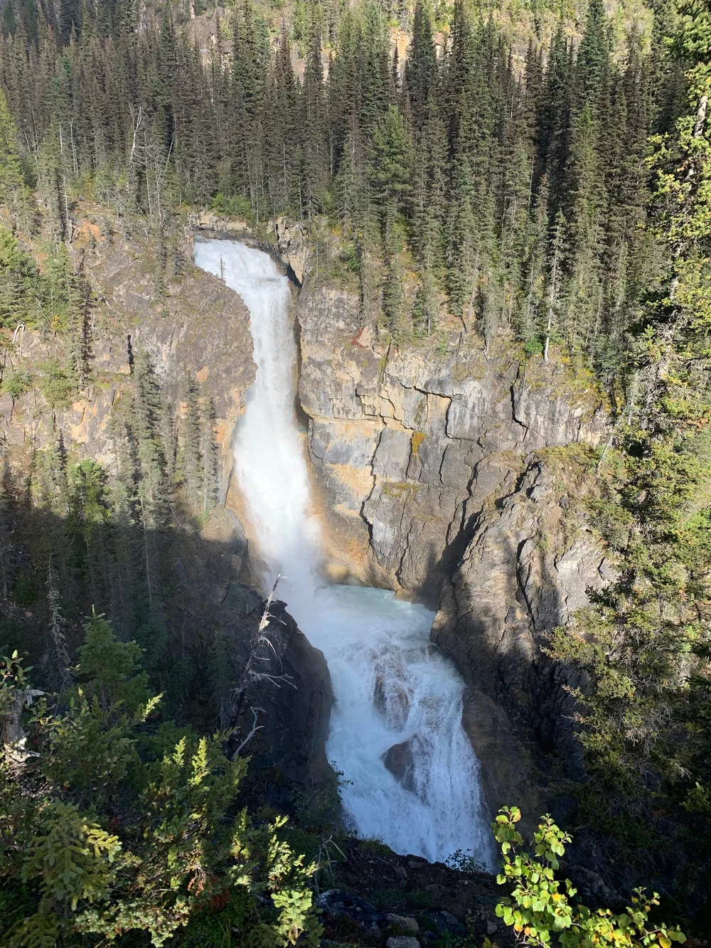 Berg Lake Trail Reopens: Everything You Need to Know for 2026 — Peak ...