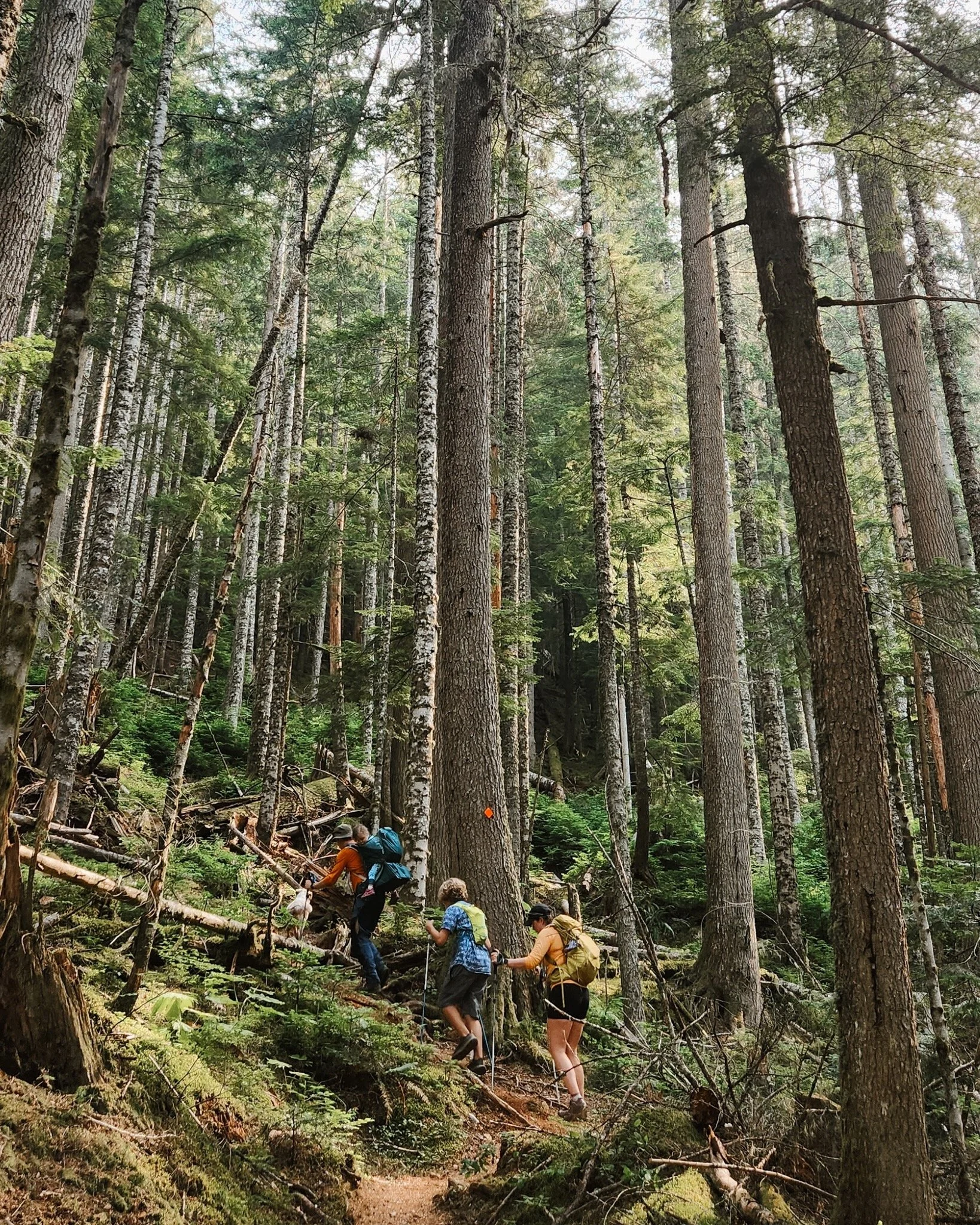 Backpacking to Mount MacFarlane, Chilliwack BC — Peak Planning and Creative