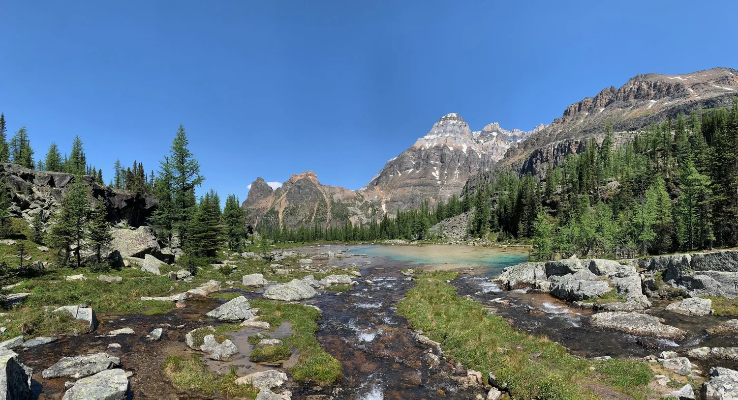 Complete Guide to Lake O’Hara — Peak Planning and Creative