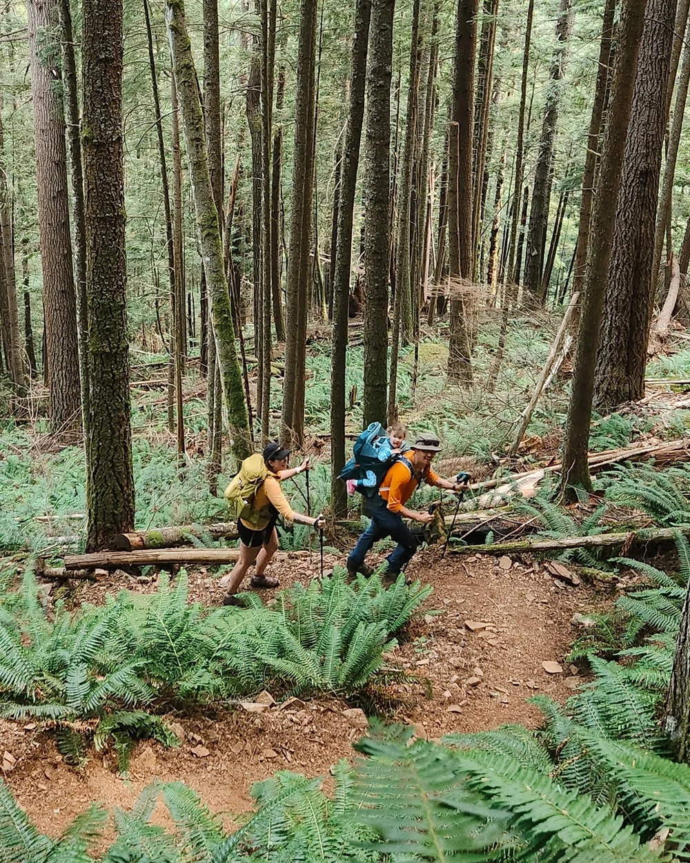 Backpacking to Mount MacFarlane, Chilliwack BC — Peak Planning and Creative