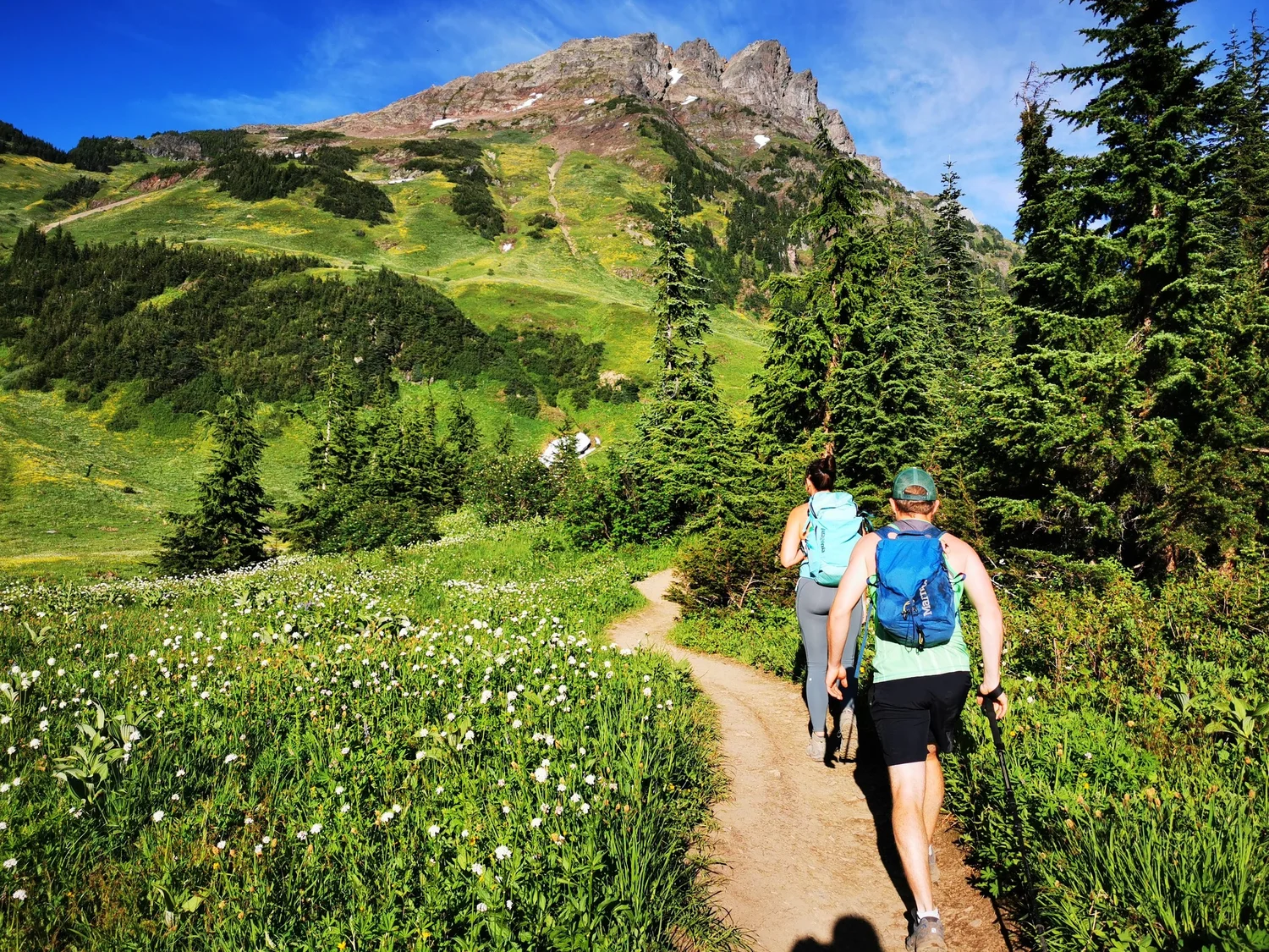 Hiking Cheam Peak: A Guide to Conquering One of Chilliwack’s Most ...