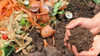 Composting 101: Turning Waste into Wealth for Your Home Garden — ART OF ...