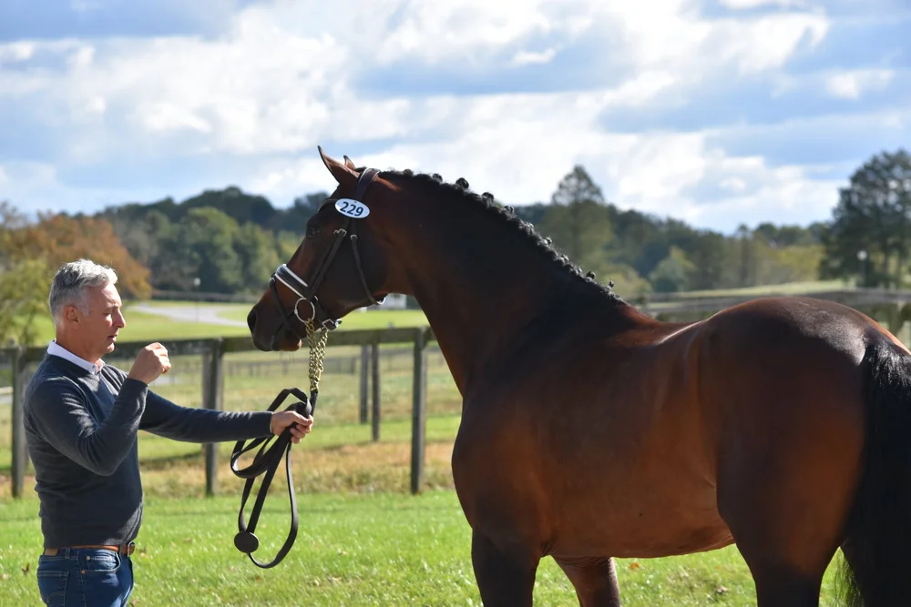 NASST Test Results — North American Stallion Sport Test