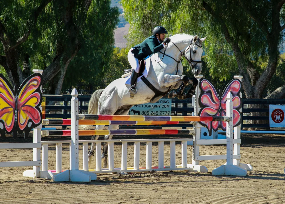 NASST Test Results — North American Stallion Sport Test