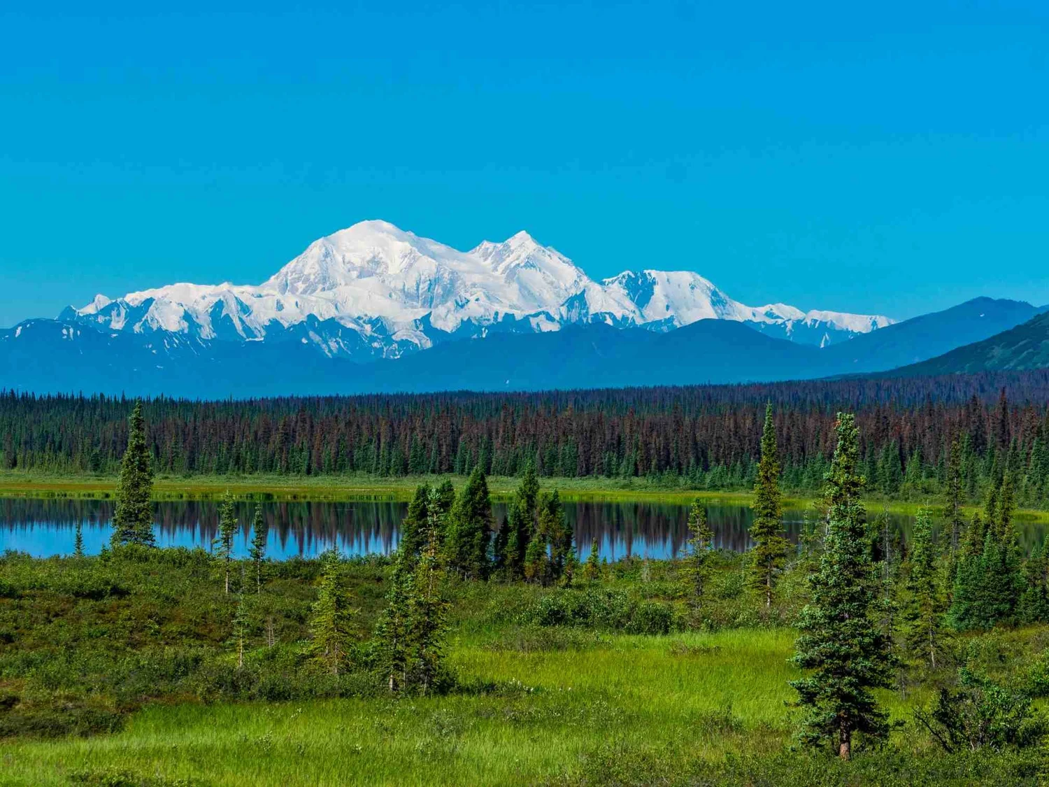 The 17 Best Things to do in Denali National Park — Northern Epics