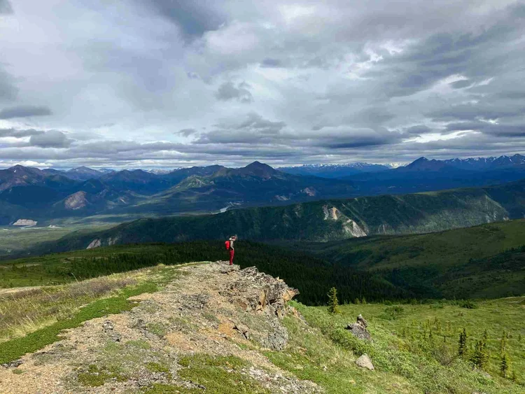The 17 Best Things to do in Denali National Park — Northern Epics