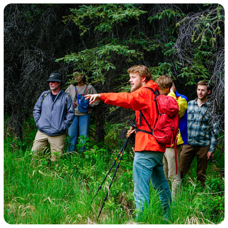 Hiking Tours in Denali National Park - Northern Epics