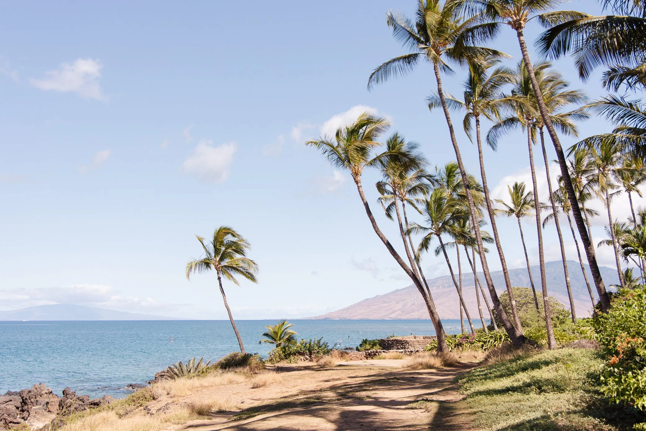 Maui, Hawaii Wedding, Couples and Brand Photographer Portfolio — Lesley ...