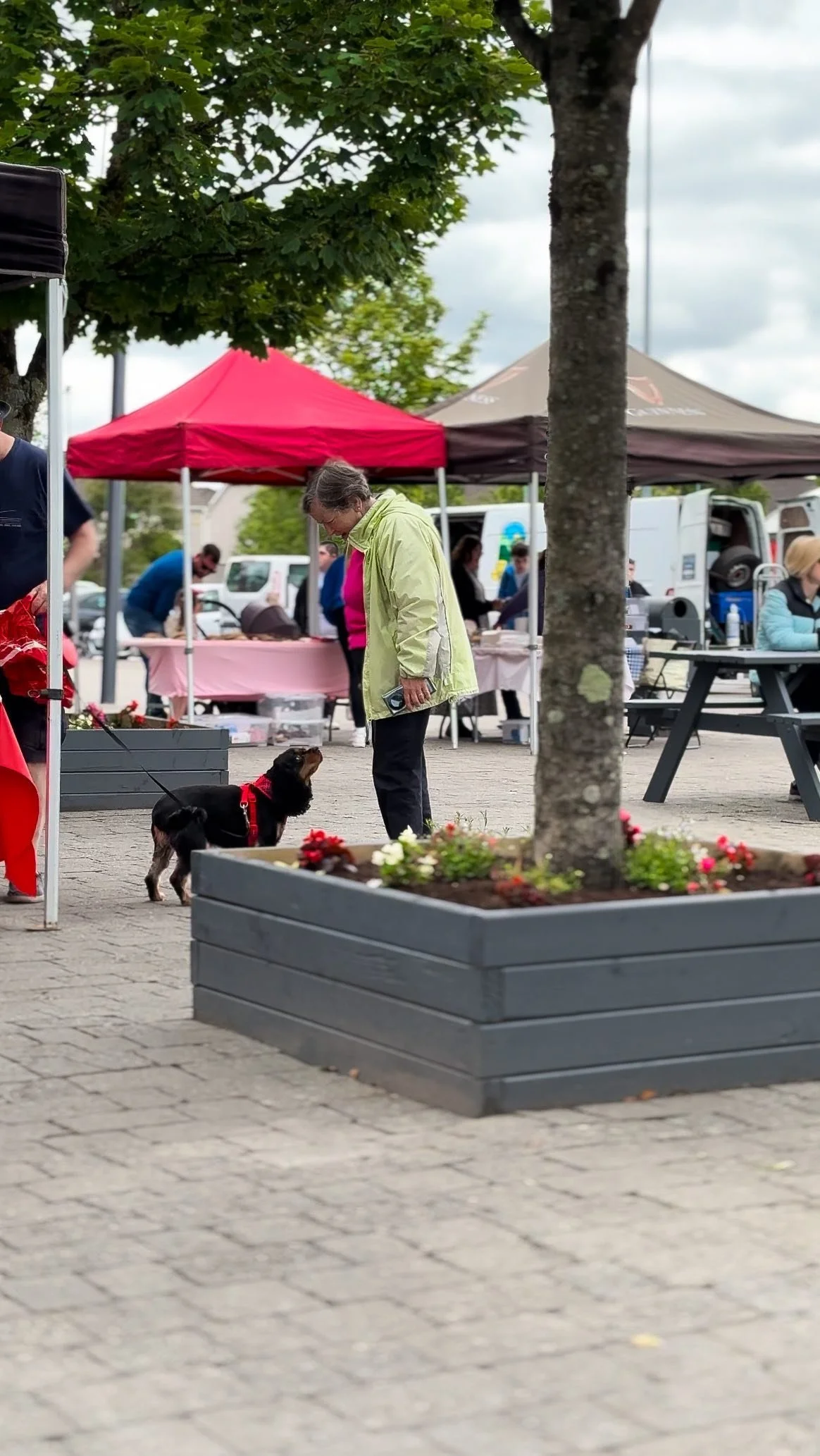 Castletroy Town Centre