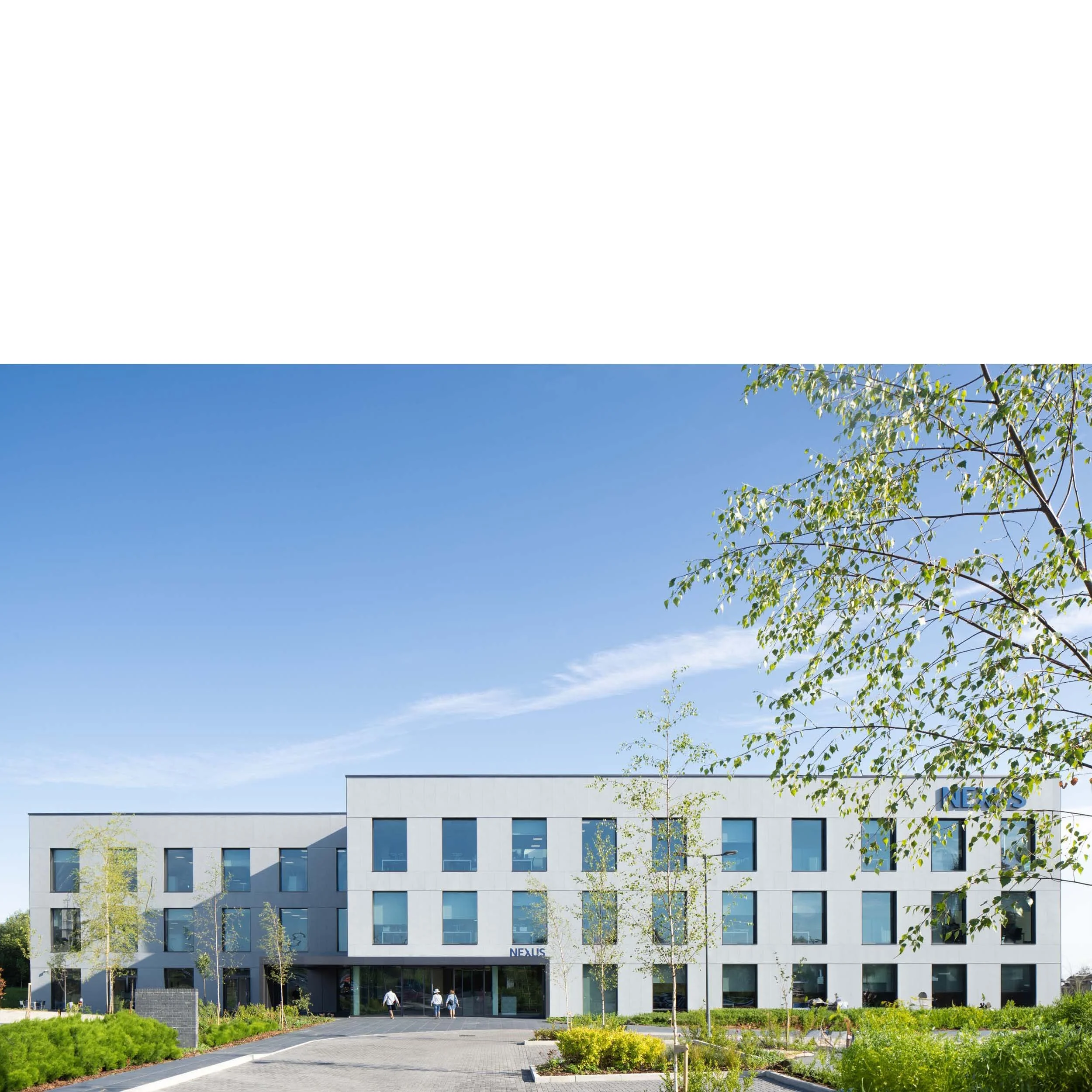 Gallery 1 — COFFEY