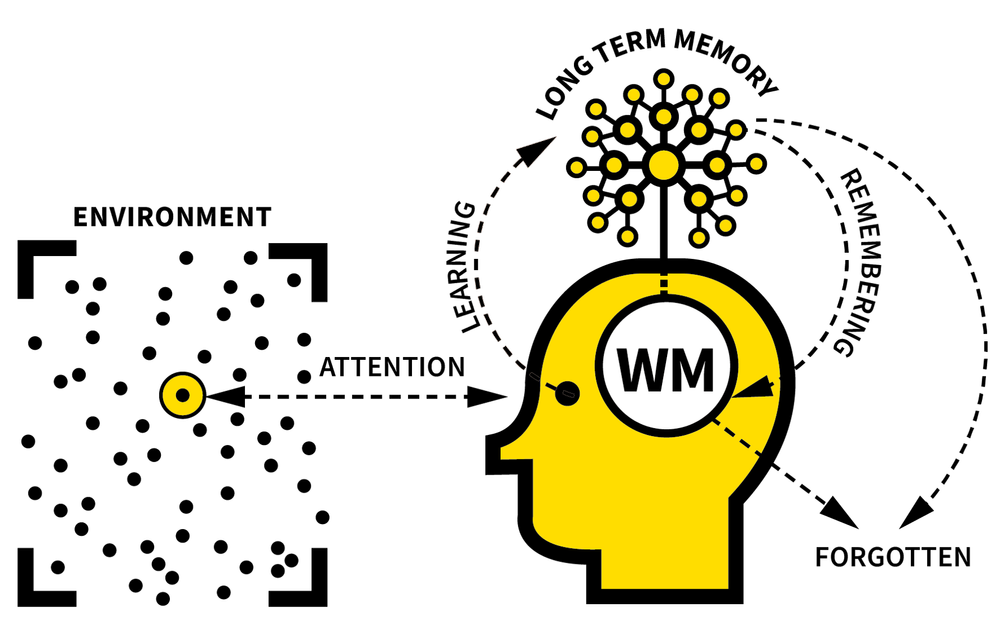 Getting Started — Teaching WalkThrus | Multi-Platform Teaching Tools ...