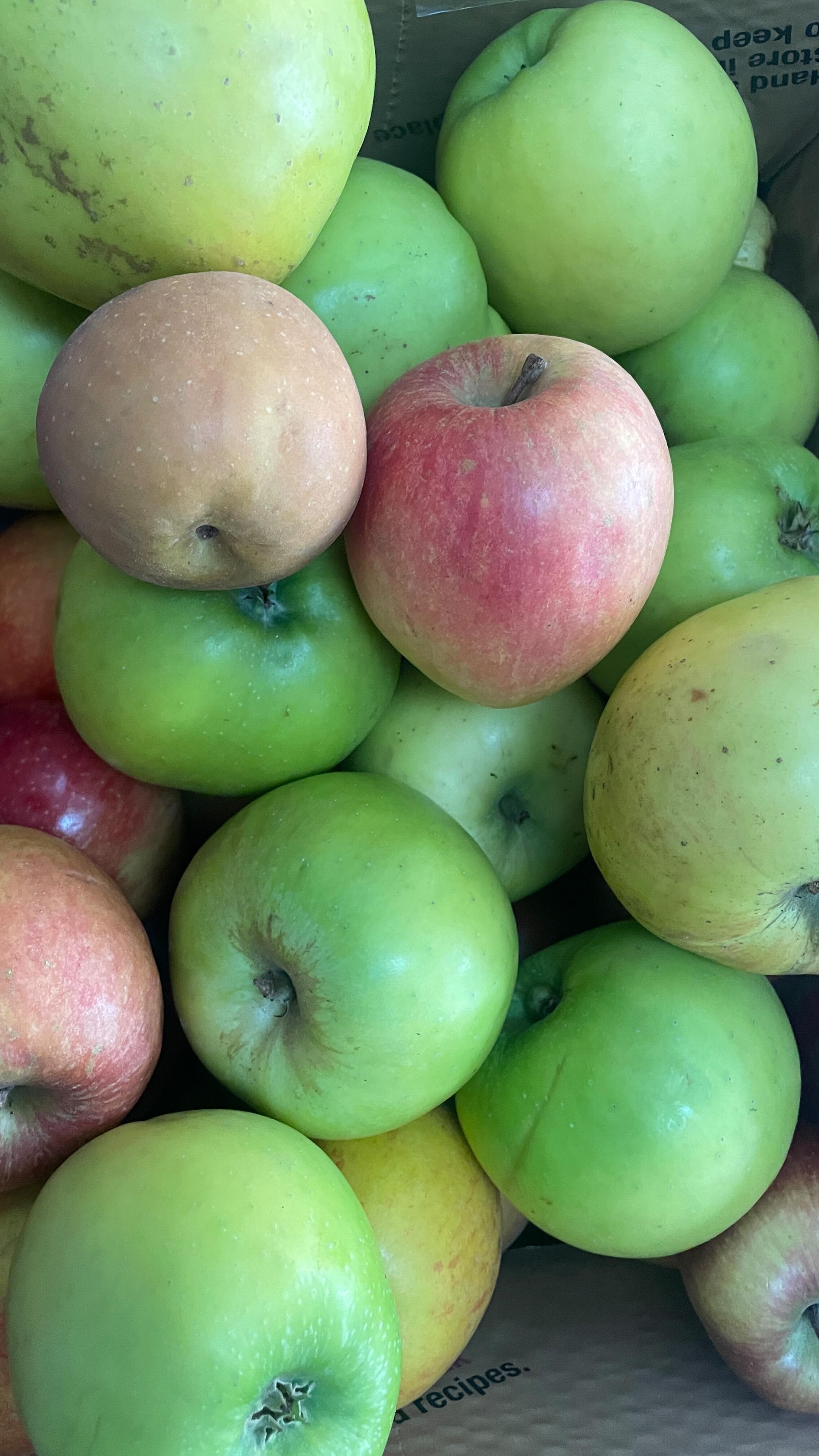 Learn more about Rebecca Bishop and The Next Loaf baking school in Wenhaston, Suffolk — The Next ...