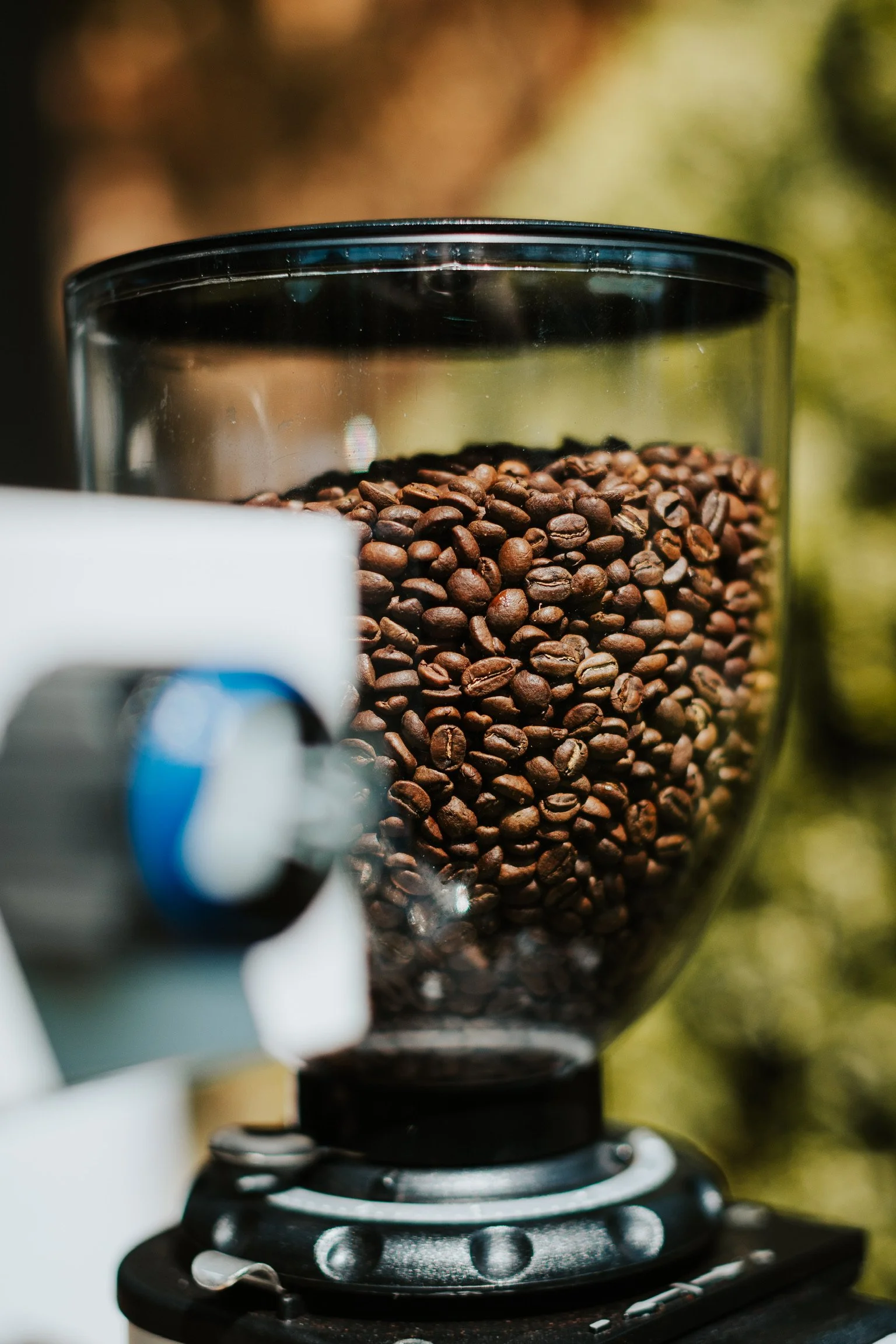 Rosetta Coffee & Events