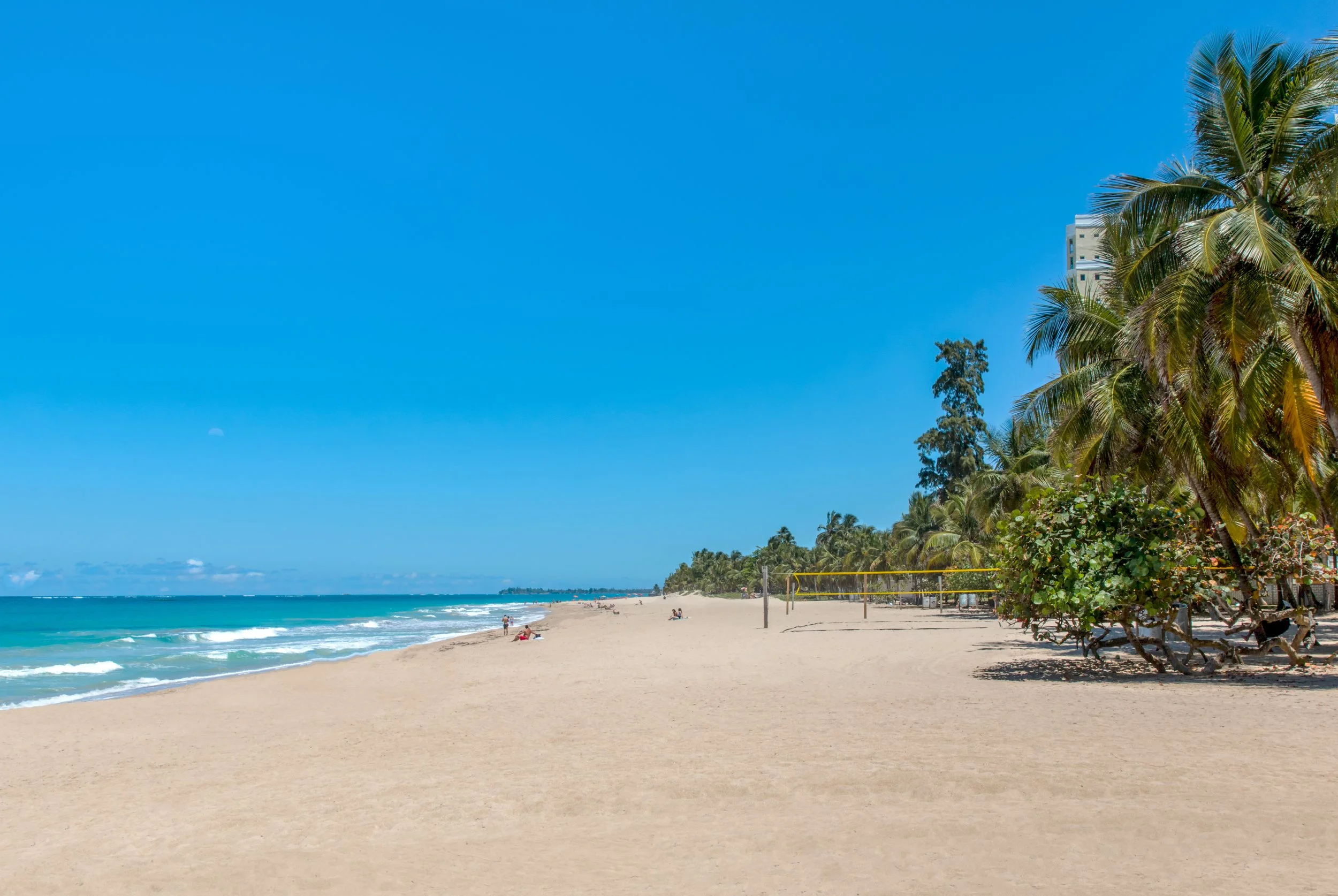 The Grove at Carrion Court – Condado Beach Luxury Real Estate