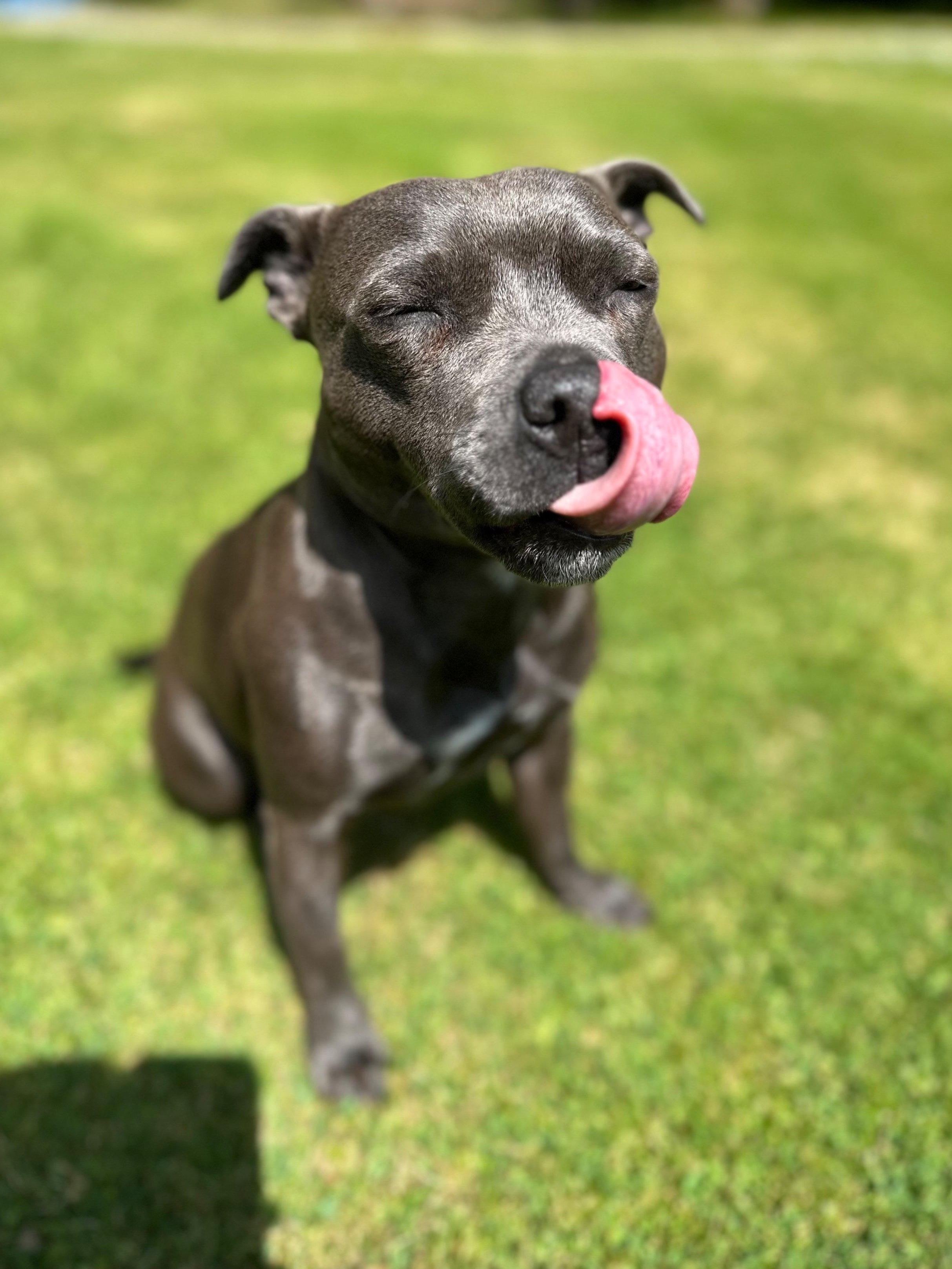 Meet the team behind Beacroft Referrals in Basingstoke, Hampshire ...