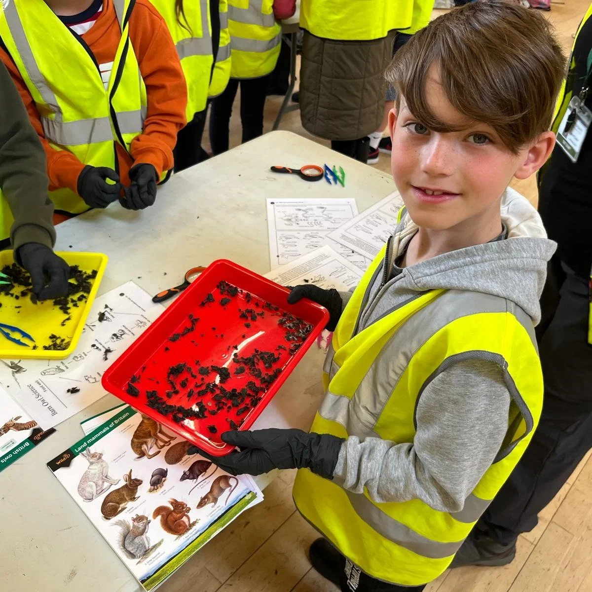 Countryside Learning