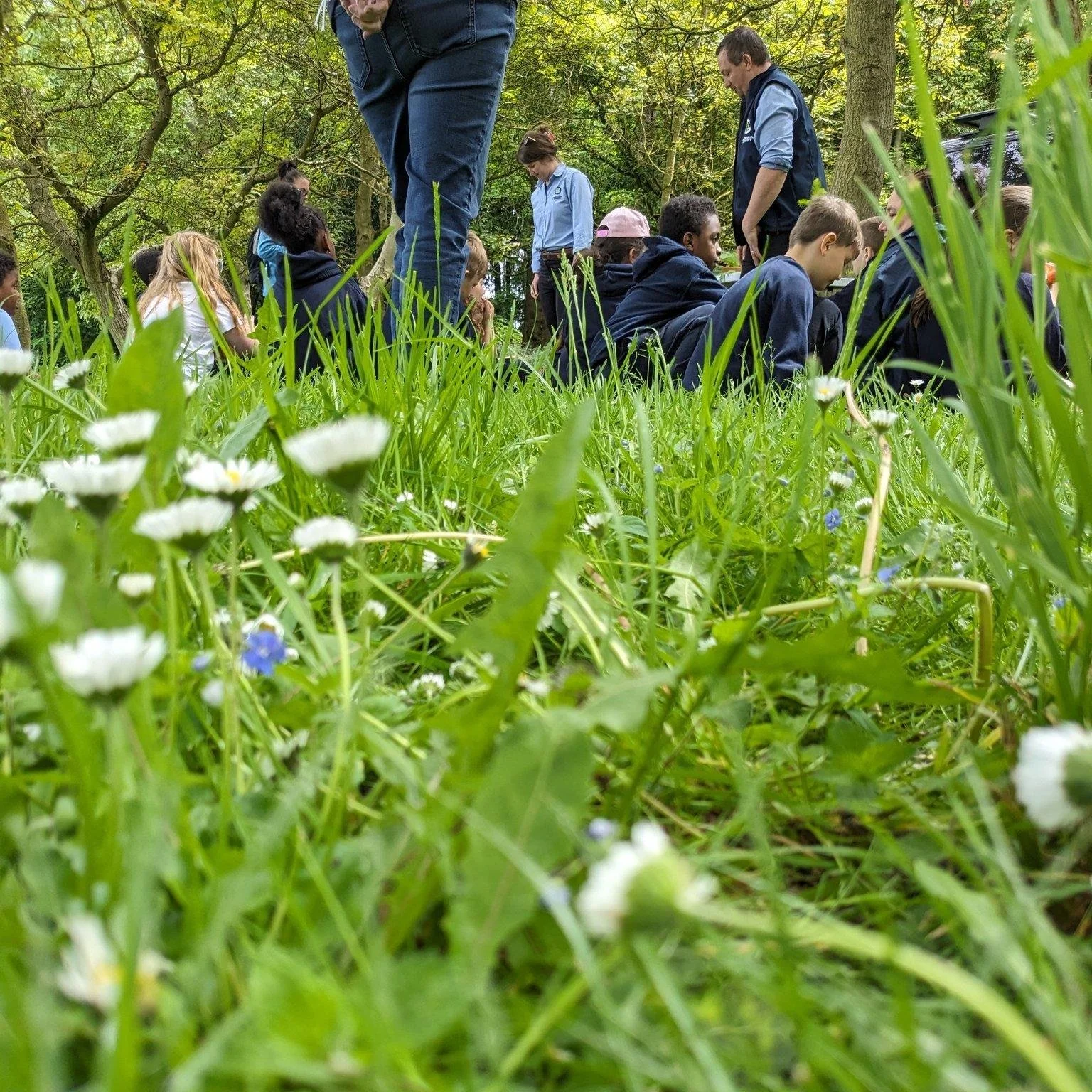 Countryside Learning
