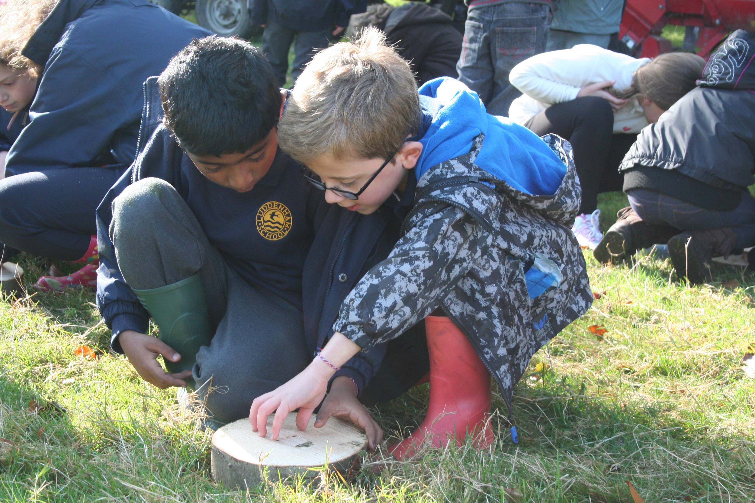 Countryside Learning