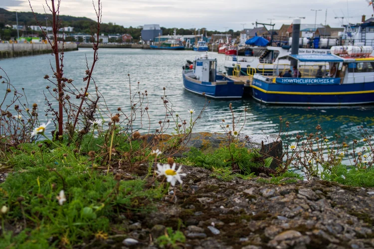 Howth - Dublin's Seaside Getaway and Scenic Wonder in Ireland ...