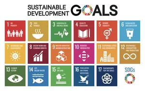 SDGs: A Call to Action for People and the Planet — verde | impact