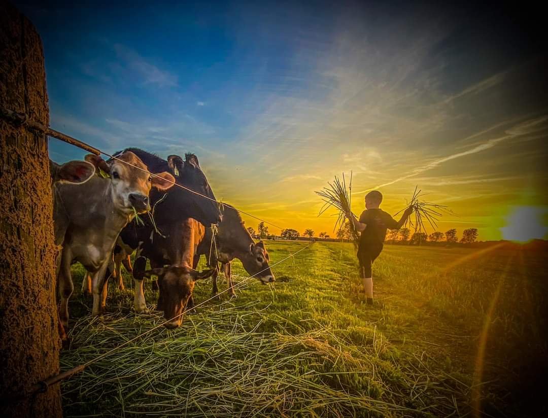 Our Story — Thistle Dew Creamery