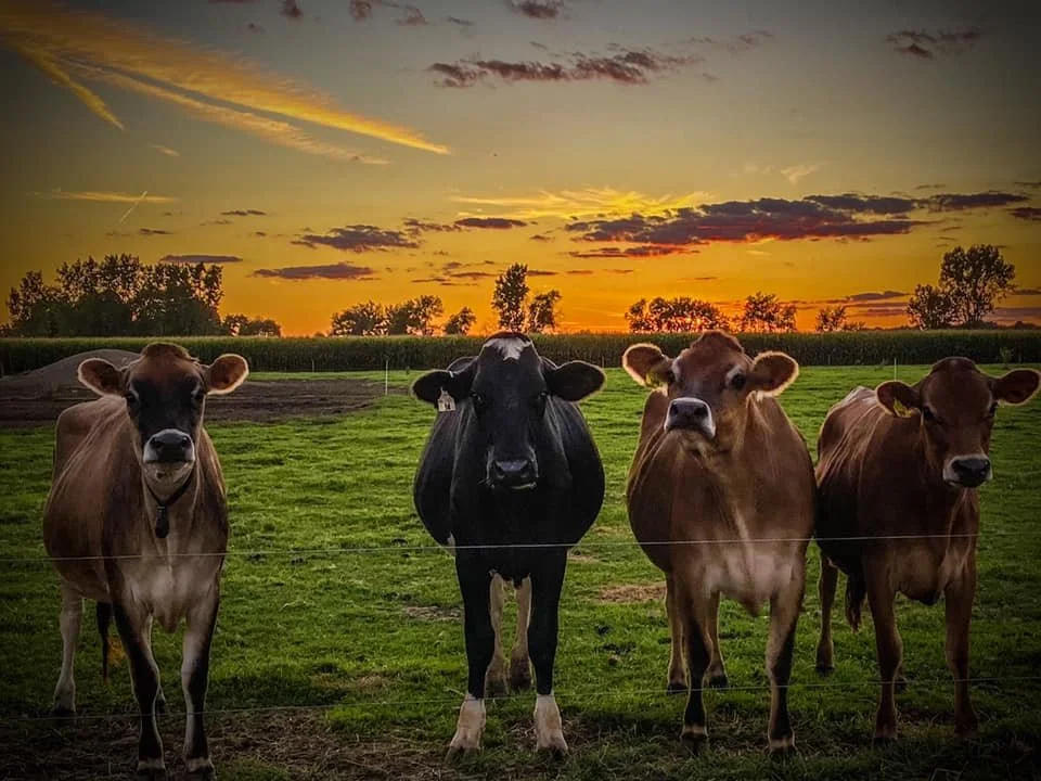 Thistle Dew Creamery